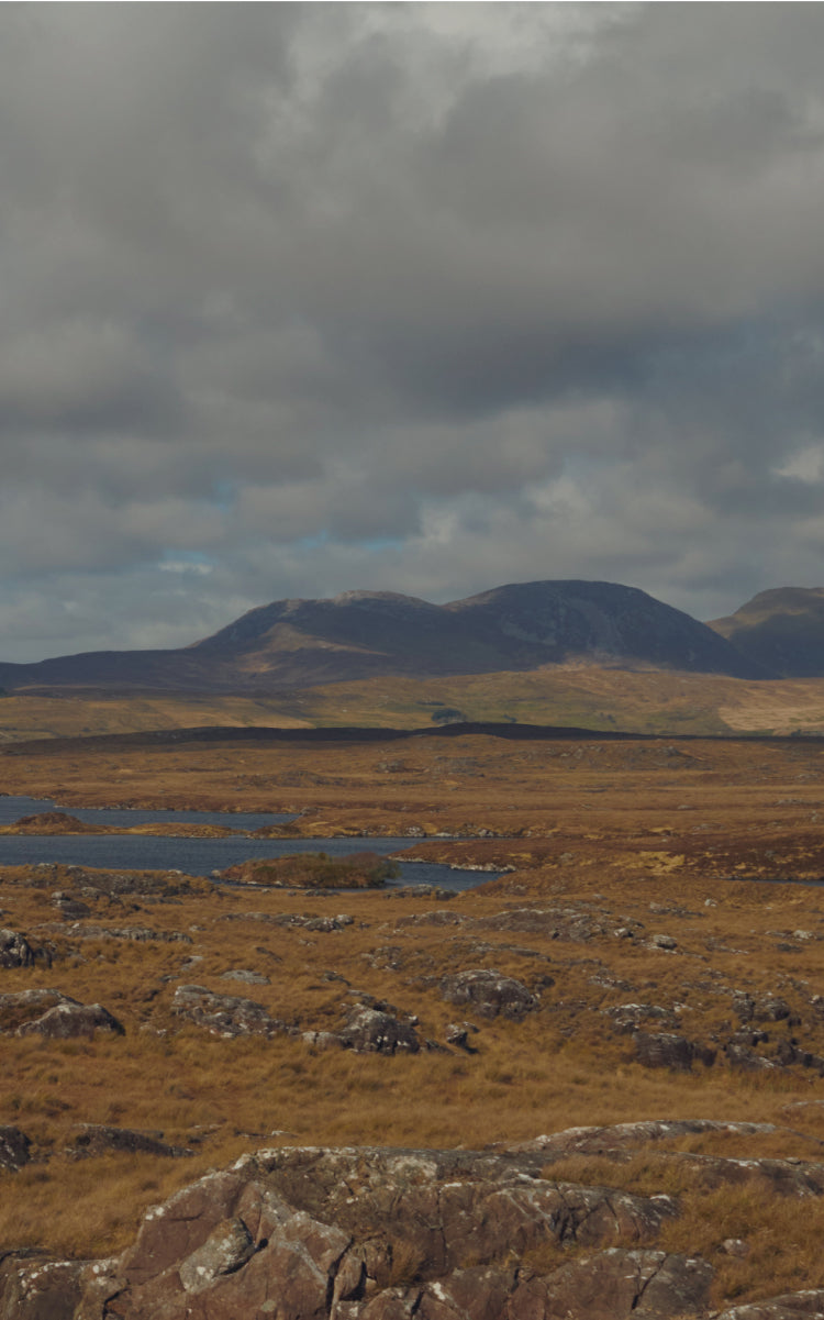 Dubarry USA | Dubarry Of Ireland Official Website